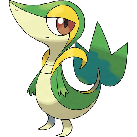 Snivy Pokemon Collectors Wiki Fandom