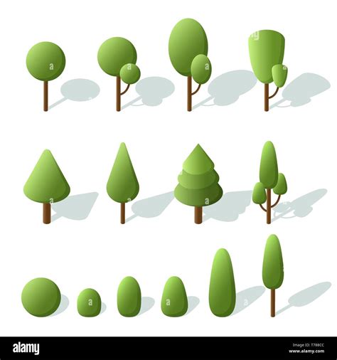 set trees isometric 3d trees for landscape design icons for city maps