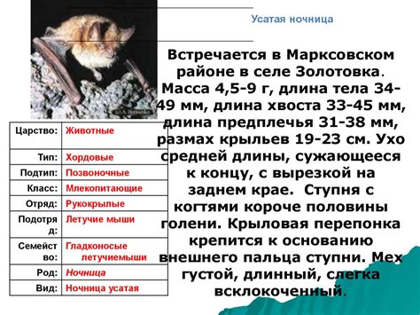 Животные и растения занесенные в Красную книгу Саратовской области