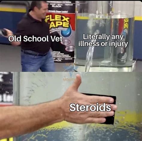 Veterinary Memes For The Big Hearted People Who Care For Our Animals