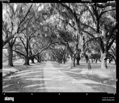 Tomotley Sheldon Beaufort County South Carolina Carnegie Survey Of