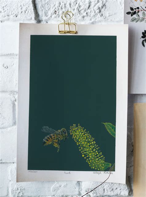 Insects Day 28 30 Day Challenge Ashleigh Ritchie Visual Artist