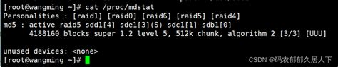 linux：raid磁盘阵列 linux查看raid信息命令 csdn博客