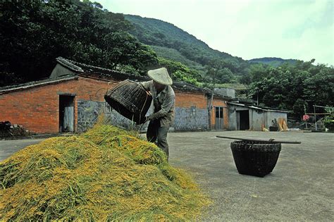 台灣農村鄉土影像故事 二 華巍藝術新聞