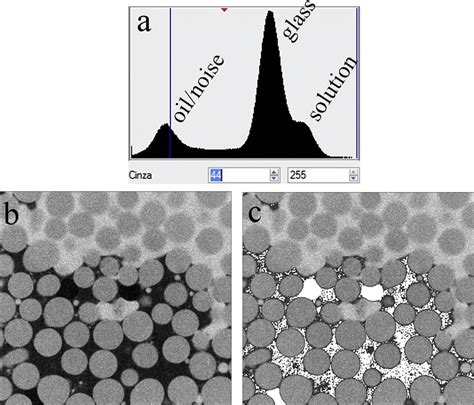 Detail Of Threshold Selection Window For Binarization Of The Image 2d