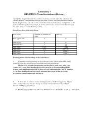 Lab Manual Transformation Efficiency Pdf Laboratory GENETICS Transformation Efficiency