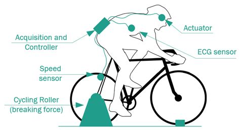 Testbed Model Validation Download Scientific Diagram