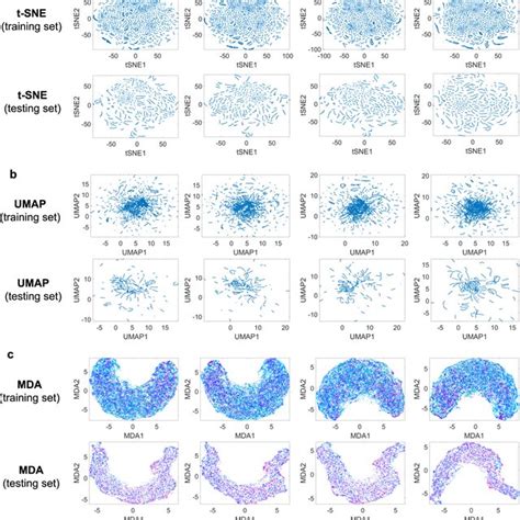 Visualization And Analysis Of Dense Unet Features For Segmentation Task
