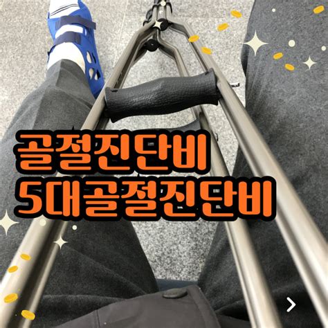 골절진단비 5대 골절 치아파절 상해사고 깁스 보험금 청구 총정리 네이버 블로그
