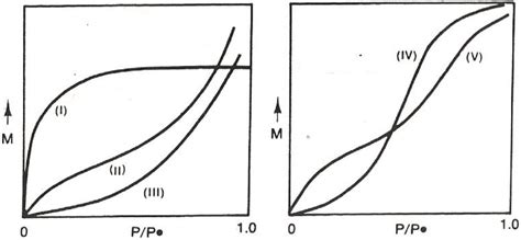 Types Of Moisture Sorption Isotherm For Food Source Rizvi [6