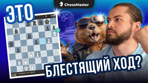 Пожертвовал фигуру в стиле Таля и плотина БОБРА против женщин Youtube