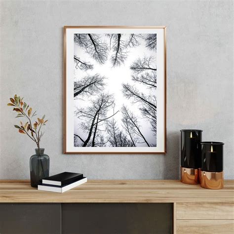Leafless Trees Poster Gallery Wall Frames Office Gallery Wall Beautiful Sights