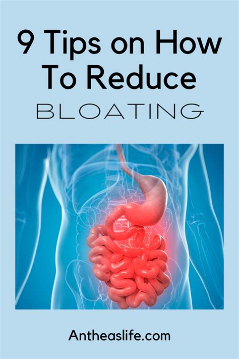 9 Tips On How To Reduce Bloating