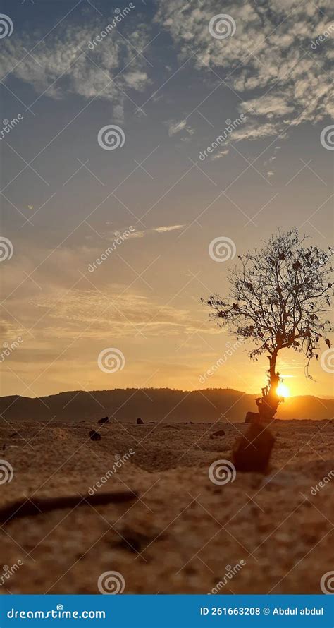 One Of The Beautiful Moment To Release Your Stress Is By Enjoy The