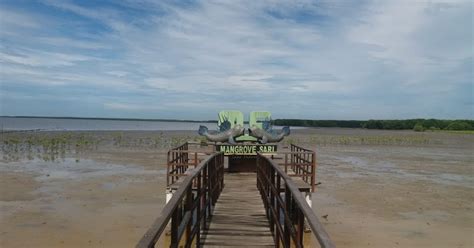 My Journal Berwisata Ke Hutan Mangrove Pandansari Brebes Banyak Spot