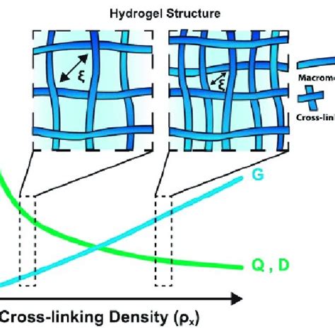 Relationship Between The Cross Linking Density And Hg Properties Two