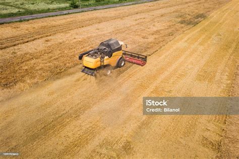 큰 잘 익은 밀 필드를 수확 결합 수확기의 공중 보기 무인 항공기보기에서 농업 농업에 대한 스톡 사진 및 기타 이미지 농업 0명 가을 Istock