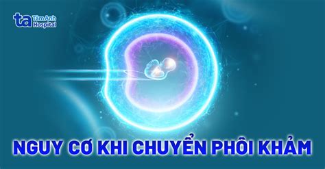 Phôi Thai Là Gì Có Từ Tuần Thứ Mấy Và được Hình Thành Như Thế Nào