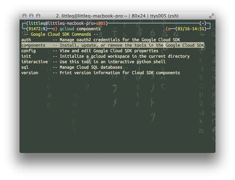 Github Littleq0903gcloud Zsh Completion Z Shell Auto Completion For