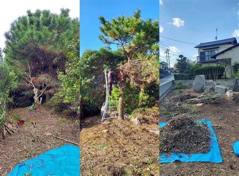 静岡市葵区で作業します。 庭木の伐採、草刈り、庭石撤去、小規模解体工事、高圧洗浄 Etc お庭クリーンズ