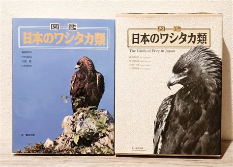 Jp 図鑑日本のワシタカ類 森岡 照明 鷲鷹 文一総合出版 おもちゃ