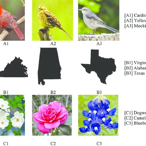 Experimental Stimuli Download Scientific Diagram