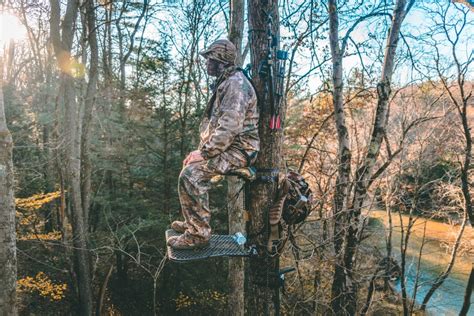 Best Tree Stand Pack At Tyler Mcintyre Blog