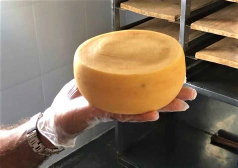 Tudo Sobre Queijo Minas Artesanal