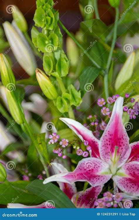Stargazer Lily Bouquet Stock Image Image Of Center