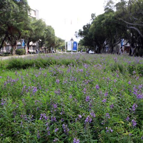 輔仁大學研究亮點 Fjcu Research