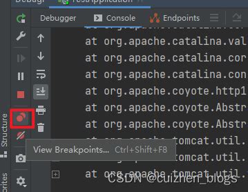 Idea Idea Debug