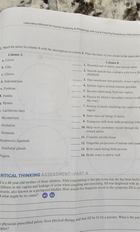 solved 2 match the terms in column a with the descriptions