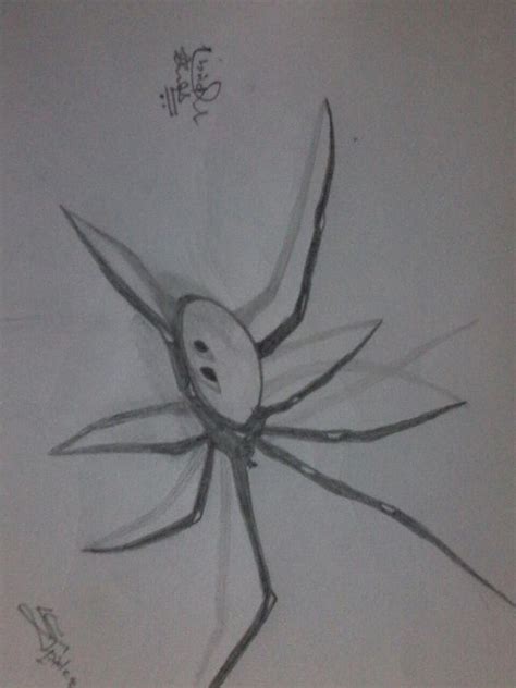 3d Spider Drawing By Ubaid Anas Fine Art America