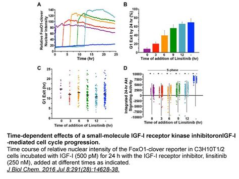 Apexbio Linsitinib Igf1r Ir Inhibitor Potent And Novel Cas 867160 71 2