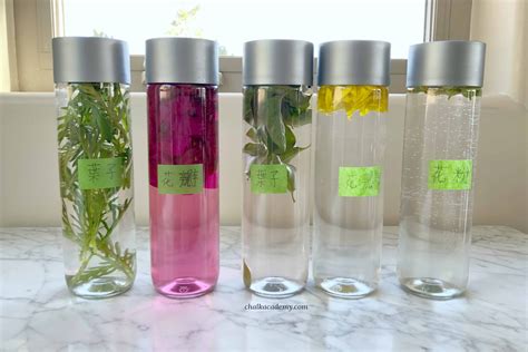 Parts Of A Flower Sorting Science And Literacy Activity VIDEO