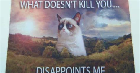 28 Funny Mouse Pads That Are Anything But Ordinary