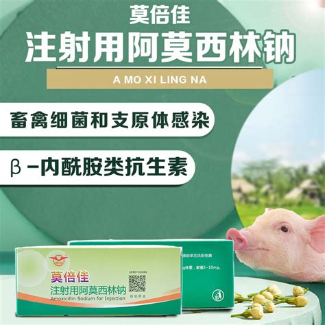 莫倍佳 注射用阿莫西林钠 河北远征药业动保兽药其他兽药湖南首药生物技术有限公司农信商城