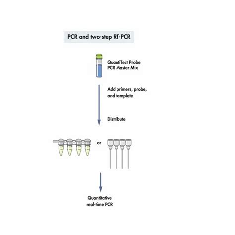 Qiagen Quantitect Probe Rt Pcr Kit At Rs 47729 Kit Pcr Kit In Delhi Id 21935271333