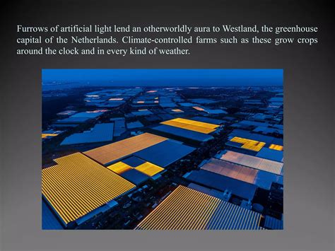 Protected Cultivation Of Tomato Ppt