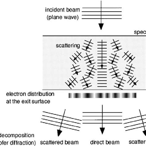 Schematic Drawing Of Ec Process For Structure Analysis Download Scientific Diagram
