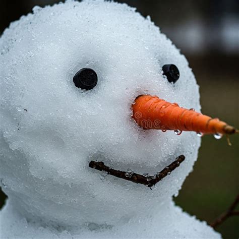 Simple Snowman Carrot Nose Button Eyes Generated With Ai Stock