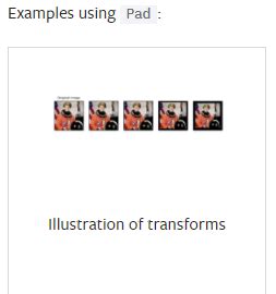Torchvision Transforms Images Are Incorrect Issue Pytorch Vision GitHub