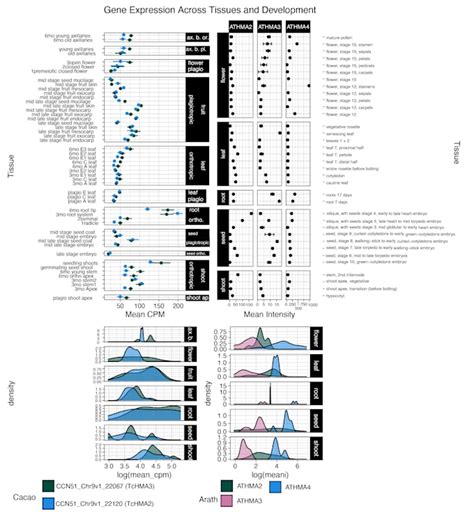 Perform Robust Statistical Analysis In R By Drmenendez Fiverr