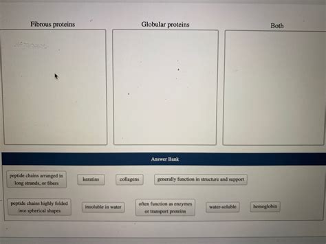 Answered Fibrous Proteins Peptide Chains Bartleby