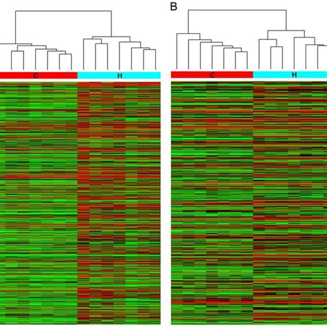 Hierarchical Clustering Of A Lncrna And B Mrna Differential Download Scientific Diagram