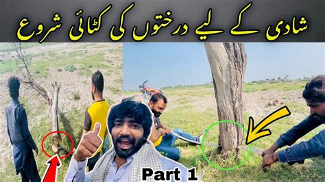Shadi Ke Leye Darakhato Ki Katai Shiru Tree Felling For Marriage Begins Full Chill Vlog