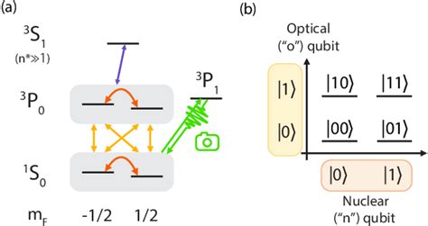 figure 1 from an architecture for two qubit encoding in neutral