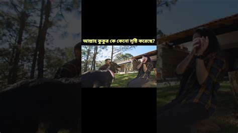 আল্লাহ কুকুর কে কেনো সৃষ্টি করেছেন Viral Religion Islam
