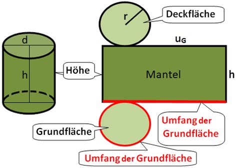 Zwischen Trivial Wiederholen fläche mantel zylinder Paddel Sonnenblume