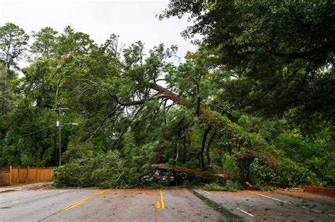 Hurricane Helene Sc Couple Killed By Fallen Tree Found Hugging